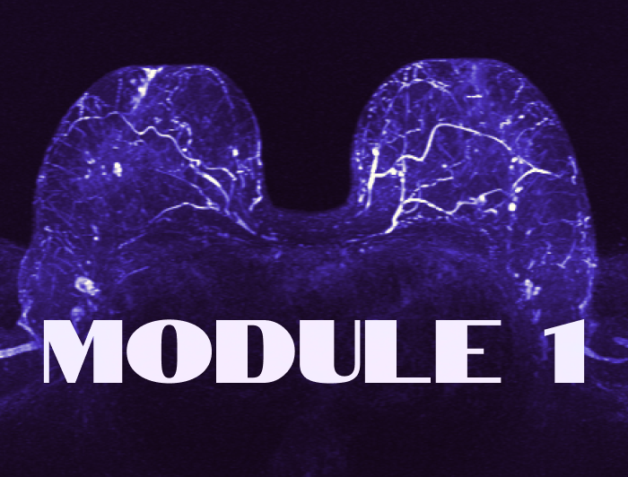 Introduction to Breast MRI course | Mammologicum